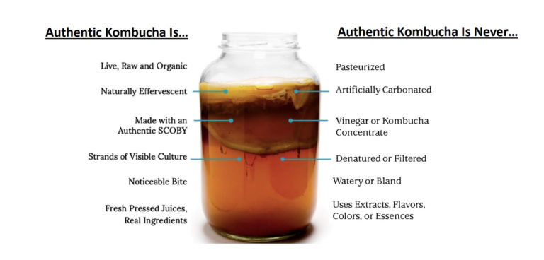 The healthful benefits of GT's Kombucha - The Sweet Potato